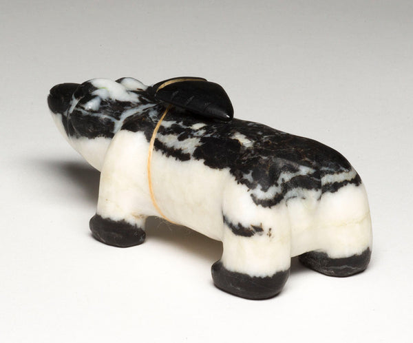 Zebra Bear – Keshi The Zuni Connection