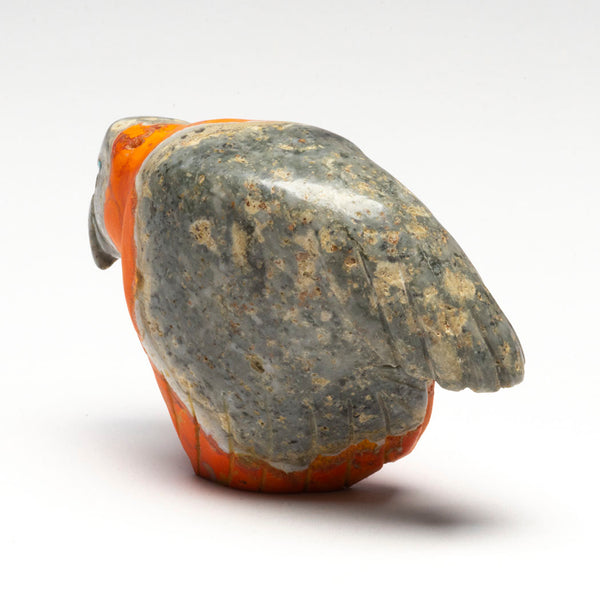 Sunny Parrot – Keshi The Zuni Connection