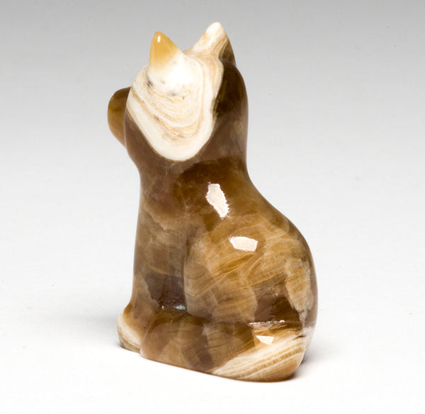 Good Morning Coyote Pup – Keshi The Zuni Connection