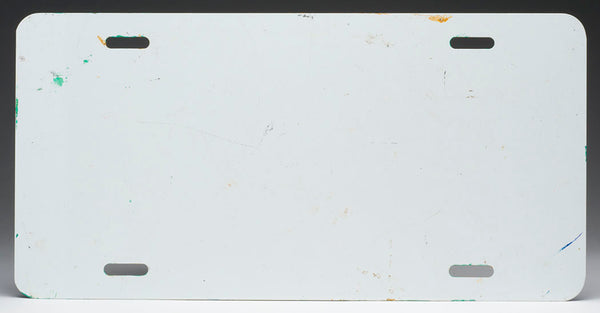 Vibrant Parrots On License Plate – Keshi The Zuni Connection