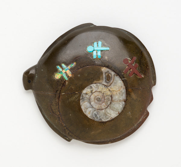 Special Turtle With Dragonfly Blessings – Keshi The Zuni Connection